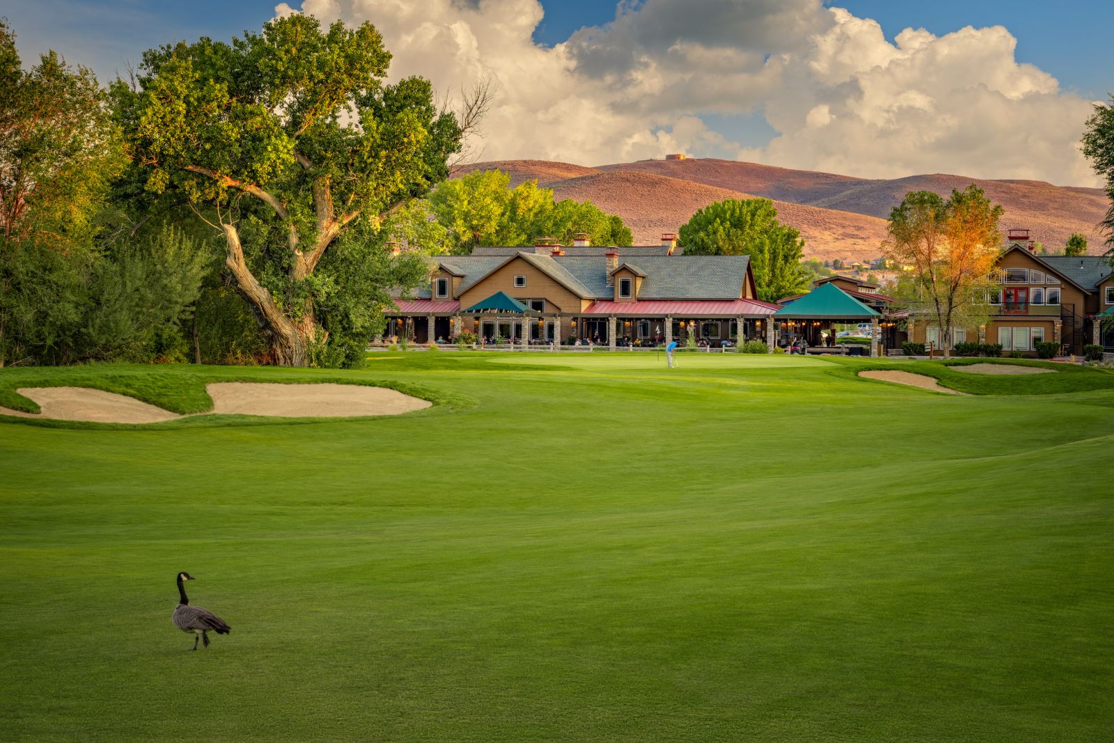 Course Overview - Red Hawk Golf and Resort